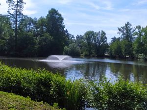 Toutes Mes Sorties - Marche semi rapide parc Bourran - MERIGNAC (33 ...