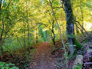 TMS - Rando 13 kms Champigneulles - CHAMPIGNEULLES (54) - Dimanche 23 ...