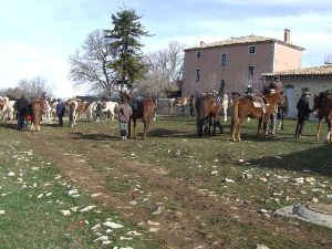 TMS - Rando St Hubert - MONIEUX (84) - Dimanche 20 novembre 2022