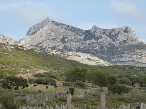 TMS - Rando Les Opies - Mt Menu - EYGUIERES (13) - Mercredi 15 février 2023