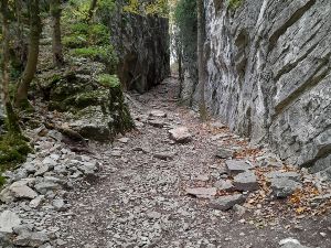 TMS - Poya - La Tour Sans Venin - FONTAINE (38) - Mardi 05 décembre 2023