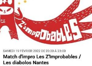 TMS - les z'improbables / les diabolos - LE MAY SUR EVRE (49) - Samedi 19 février 2022